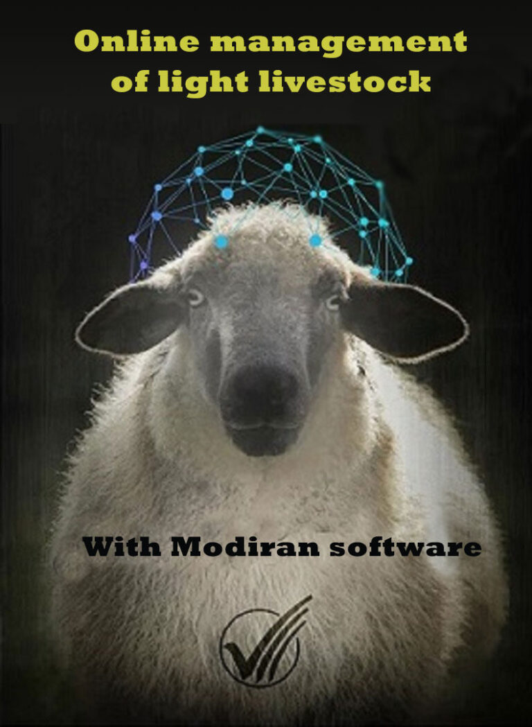 Sheep and goat Management Software » مدیران تحلیلگر سپاهان